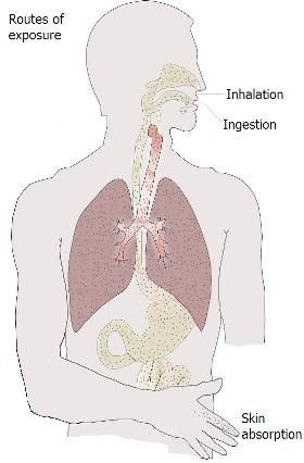 Potent Compound - Band Category Calculation - processsafetyhub.com
